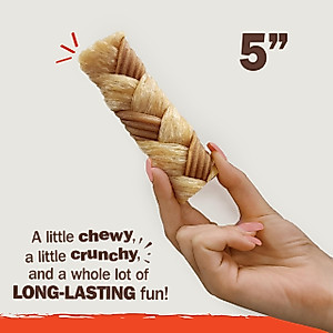 Cadet Chewalicious Chewy 'N Crunchy Braid Dog Treats, Limited Ingredient Rawhide-Free Dog Chews, Long-Lasting Made with Real Chicken, 7 Count (Pack of 1)