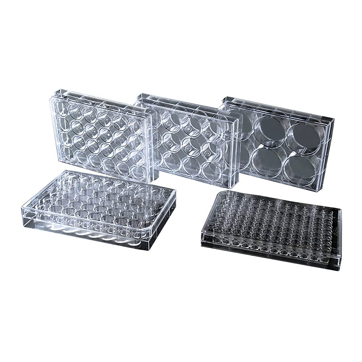 Nest Scientific 701002 96 Well Cell Culture Plate, Flat, TC, sterile 10/pk, 100/cs