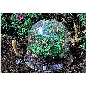 KiaoTime Pack of 10 Reuseable 10" Plastic Greenhouse Garden Bell Cover Germination Cover Frost Guard Freeze Protection Dome with Bonus 30 Metal Stakes+10 Tags