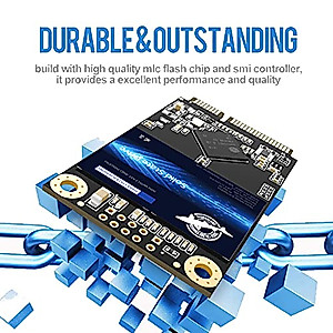Dogfish mSATA SSD 250GB 3D NAND TLC SATA III 6 Gb/s, mSATA (30x50.9mm) Internal Solid State Drive - Compatible with Desktop PC Laptop - (MSATA 250GB)