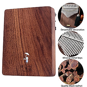 LingTing Kalimba 21 keys Thumb Piano Mbira Finger Piano Gift for Kids Adult Beginners Professional（LT-K21W,rain whisperer)