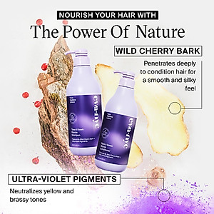 Eva NYC Tone It Down Blonde Shampoo and Conditioner Set, Moisturizing Purple Shampoo and Conditioner for Eliminating Brassy & Yellow Tones, Vegan Hair Shampoo and Conditioner, Pack of 2, 1L