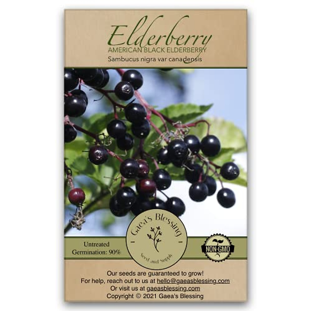 Gaea's Blessing Seeds - Elderberry Seeds - American Black Elderberry Heirloom - Non-GMO Seeds with Easy to Follow Planting Instructions - 90% Germination Rate