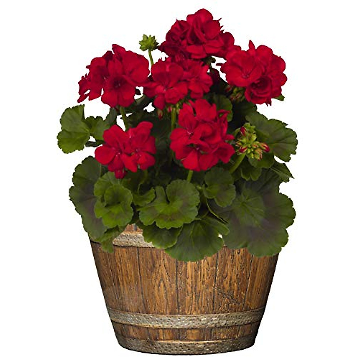 Classic Home and Garden Whiskey Resin Flower Pot Barrel Planter, Oak Brown, 9"