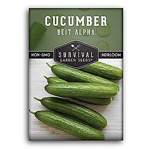 Survival Garden Seeds - Beit Alpha Cucumber Seed for Planting - Pack with Instructions to Plant and Grow Smooth Green Burpless Cucumbers in Your Home Vegetable Garden - Non-GMO Heirloom Variety