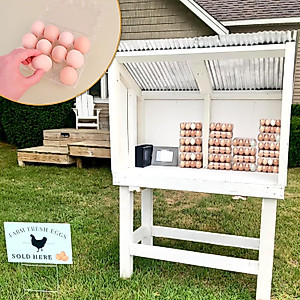 KUKLIPJIM 120 Pack Bulk Egg Cartons, Clear Plastic Chicken Egg Holders, Egg Tray Carton Holder for Home & Kitchen, Farm & Market Use, An Eco-Friendly Egg Storage Solution, 12 Grids