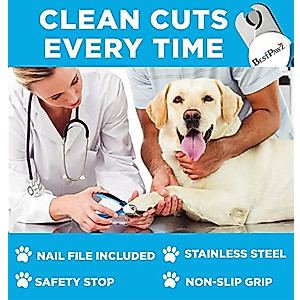 Bestpawz Cat & Dog Nail Trimmers - Sturdy Non Slip Dog Nail Clippers for Large Dogs - Safety Guard Pet Nail Clipper to Avoid Over Cutting - Cat Nail Clipper Comes with Sharp Blade and Free Nail File