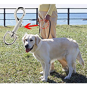 PENTA ANGEL 4Pcs Dog Leash Clasp Heavy Duty Snap Hooks Clips Pet Leashes Key Chain with Spring Buckle for Linking Pet Collar (4 PCS)