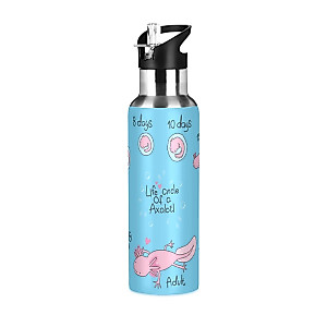 Glaphy Cute Funny Axolotl Blue Water Bottle with Straw Lid, BPA-Free, 32 oz Water Bottles Insulated Stainless Steel, for School, Office, Gym, Sports, Travel