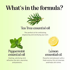 Tea Tree Oil Body Wash - Hydrating Shower Gel Tea Tree Body Wash for Women and Men - Women and Mens Body Soap with Peppermint and Tea Tree Essential Oil and Moisturizing Body Wash for Dry Skin Care