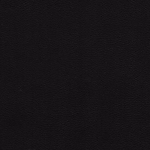 Lexicon Baluze Double Reclining Sofa, Black