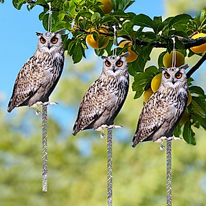 kungfu Mall Owl to Keep Birds Away, 3 Pack Bird Scare Owl Fake Owl, Reflective Hanging Bird Decoration, Effective Bird Control Device to Keep Birds Pigeon Woodpecker Away from Patio Garden