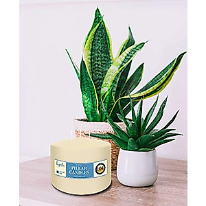 HYOOLA Ivory Three Wick Large Candle - 6 x 4.75 Inch - Unscented Big Pillar Candles - 104 Hour - European Made