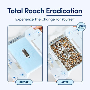 Shieldeck Roach Traps Indoor (12 Pack) - Cockroach Killer Indoor Home, Sticky Glue Cockroach Trap for Roaches, Spider, Cricket, Roach Bait Traps for Car, Inside House, Motels, Glue Traps for Roaches