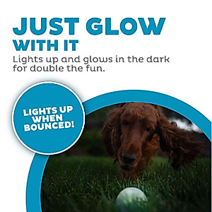 Outward Hound by Planet Dog Strobe Ball Glo Light Up LED Ball Dog Toy