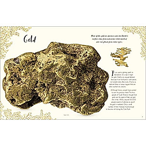 The Wonders of Nature (DK Children's Anthologies)