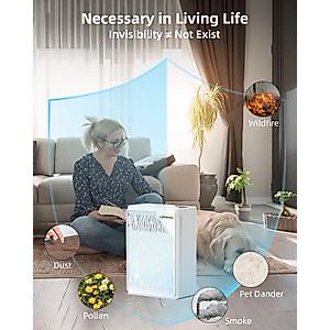 LAMPICK Air Purifier Filter, 4-in-1 High-Efficiency True HEPA Replacement Filter, Air Filter Compatible Air Cleaner A6, H13 True HEPA Filter, VOCS Filter, 1 Pack, Green