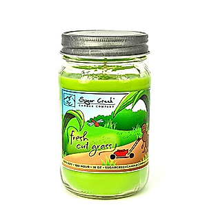 Fresh Cut Grass- (Like A Summer Morning) 100% Soy Wax Candle. Soy Candles Burn Cleaner ~ Longer ~ Non-Toxic ~ The Original 100% Yinzer Made in USA. Gift for Any Occasion
