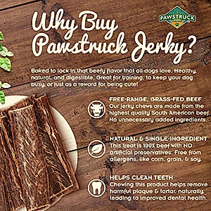 Pawstruck Dog Jerky Treats Pet Food (4"-6" Strips, 15 Pack) Joint Health 100% Beef Chews, Bulk, Gourmet Gullet Straps, Naturally Rich in Glucosamine & Chondroitin, 0.35 Pounds