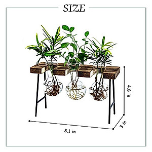 LESES Plant Propagation Stations Desktop Air Plant Terrarium, Glass Planter Bulb Glass Vase with Wood Stand Propagation Station for Hydroponics Plants Home Office Garden Decor