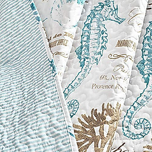Lush Decor Harbor Life Throw Blanket, 60" x 50", Blue and Taupe