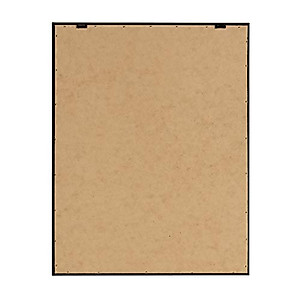 Kate and Laurel Sylvie Mid Century Succulents Framed Canvas Wall Art by Rachel Lee, 18x24 Gray, Abstract Wall Decor