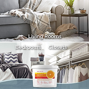 SMELLS BEGONE Odor Absorber Gel - Air Freshener & Odor Eliminator for Homes, Garages & Commercial Buildings - Industrial Size - Energizing Citrus Scent - 1 Gallon