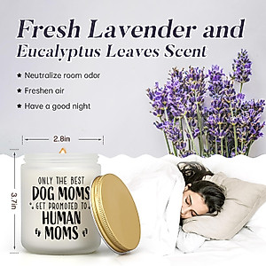 New Mom Gifts for Pregnant Women, Funny Dog Mom Pregnancy Gift for Expecting Mom, Mother to be Gift for First Time Moms, Congrats on Pregnancy Present for Wife Friend Sister, Lavender Scented Candle