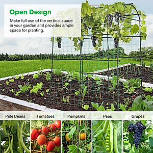 VIVOSUN 7Ft. Arch Trellis for Climbing Plants, 7 x 6 x 7ft Tall Metal Tunnel Trellis, Lightweight Metal Plant Support Archway with Nylon Netting for Climbing Vine, Vegetables, Fruits, Flowers, Black