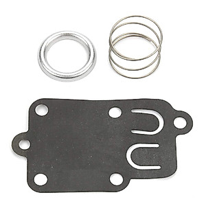 Wellsking 495606 494624 Carburetor Overhaul Repair Rebuild Kit with Gasket for BS Pulsa Jet Carb 80200 81200 82200 3 Thru 5 HP Horizontal Engines