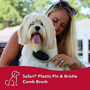 Coastal Pet Safari Pin and Bristle Combo Dog Brush with Plastic Handle - 2-in-1 Wire Pin Brush and Dog Bristle Brush - Ideal for Multi-Dog Household - For Dogs with Short and Long Hair - Large