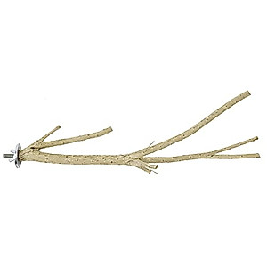 Birds LOVE Small Bottlebrush Wood Cage Perch