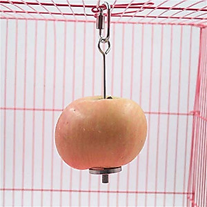Brave Tour Bird Food Holder, Bird Feeders, Stainless Steel Parrot Fruit Vegetable Stick Holder, Foraging Toy, Bird Treat Skewer