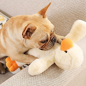 TITA-DONG Dog Plush Duck Squeaky Toy, Dog Cat Play Interactive Toys Relieve Boredom Bite Resistant Squeaky Toys Dog Chew Toys Teeth Cleaning Dog Toys for Small Medium Dogs Pets Supplies(L)