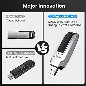 ORICO USB 3.2 Flash Drive 256GB, Memory Stick 256GB 100 MB/s Reading Thumb Drive with Keychain USB Flash Drive Metal USB Drive Data Storage Compatible with Computer/Laptop（U3）