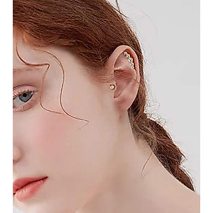 REVOLIA 16 Pcs 16G Stainless Steel Tragus Earring Cartilage Helix Single Earring Lip Rings Labret Studs Daith Rook Piercing Rose-gold