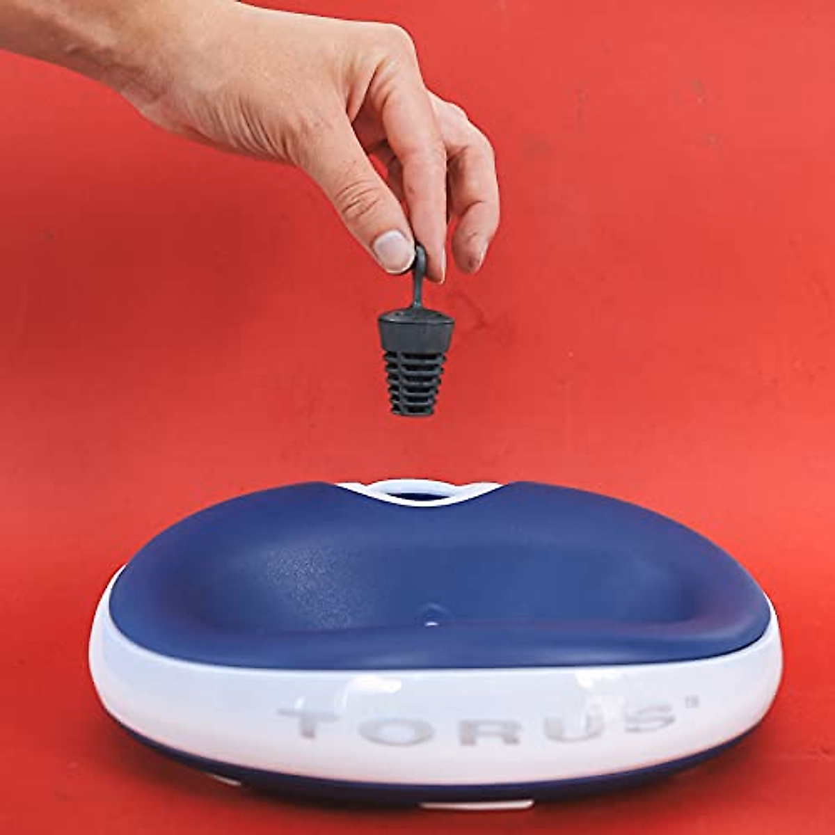 TORUS PET Standard Filter Replacement Pack (6) - improve water clarity, reduce unpleasant odors, and remove some chemicals