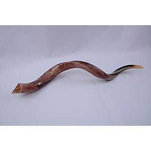 Sale 40"- 42" Extra Large Yemenite Kudu Horn Polished Shofar Shofars with Free Anti Odor Spray and Bag From Israel