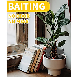 Fruit Fly Traps for Indoors,20pcs Yellow Sticky Fly Traps,Gnat Traps,Bugs Catcher for House Outdoor, Bonus 4 Fly Paper Tubes Home Office (Black)