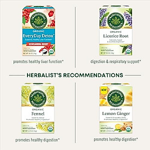 Traditional Medicinals Tea, Organic Spearmint, Supports Everyday Wellness, Healthy & Refreshing, 16 Count (Pack of 6)
