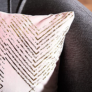 Safavieh Home Collection Sarla Art Deco 12 x 20-inch Blush/Gold Decorative Accent Pillow PLS7144B-1220, 12"x22"