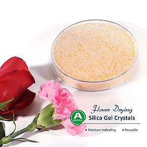 wisedry Silica Gel Flower Drying Crystals - 5 LBS, Color Indicating, Reusable