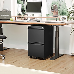 AFAIF 2 Drawer File Cabinet with Lock, Rolling File Cabinets for Home Office, Small Metal Filing Cabinet Office Drawers Under Desk for Letters/Legal/A4 Size, Assembly Required