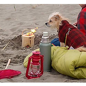 One Log Fire, Mini - Single Log Campfire, 100% Natural Red Pine, Easy Light - 1 Hour Burn Time (3 Pack)