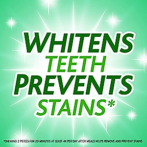 Trident White Spearmint Sugar Free Gum, 4 Bottles of 60 Pieces (240 Total Pieces)