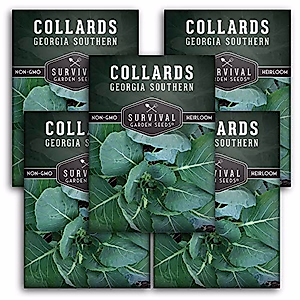 Survival Garden Seeds - Georgia Southern Collards Seed for Planting - Pack with Instructions to Plant and Grow Healthy Collard Greens in Your Home Vegetable Garden - Non-GMO Heirloom Variety - 5 Packs