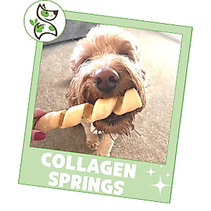 Nature Gnaws Collagen Springs for Dogs (10 Count) - Long Lasting for Small and Medium Dogs - Natural Beef Hide Dog Chew Bones