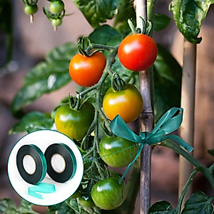 KINGLAKE GARDEN Stretch Tie Tape Roll-2 Rolls Total 300 Feet 1/2" Green Garden Tape,Plant Ribbons Plant Garden Tie for Branches, Climbing Planters, Flowers