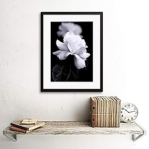 The Art Stop Photo Nature Black White Rose Petal Flower Framed Print F12X4204