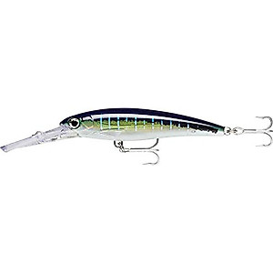 Rapala X-Rap Magnum 20 XRMAG20SFU: X-Rap Magnum 20 Sailfish UV
